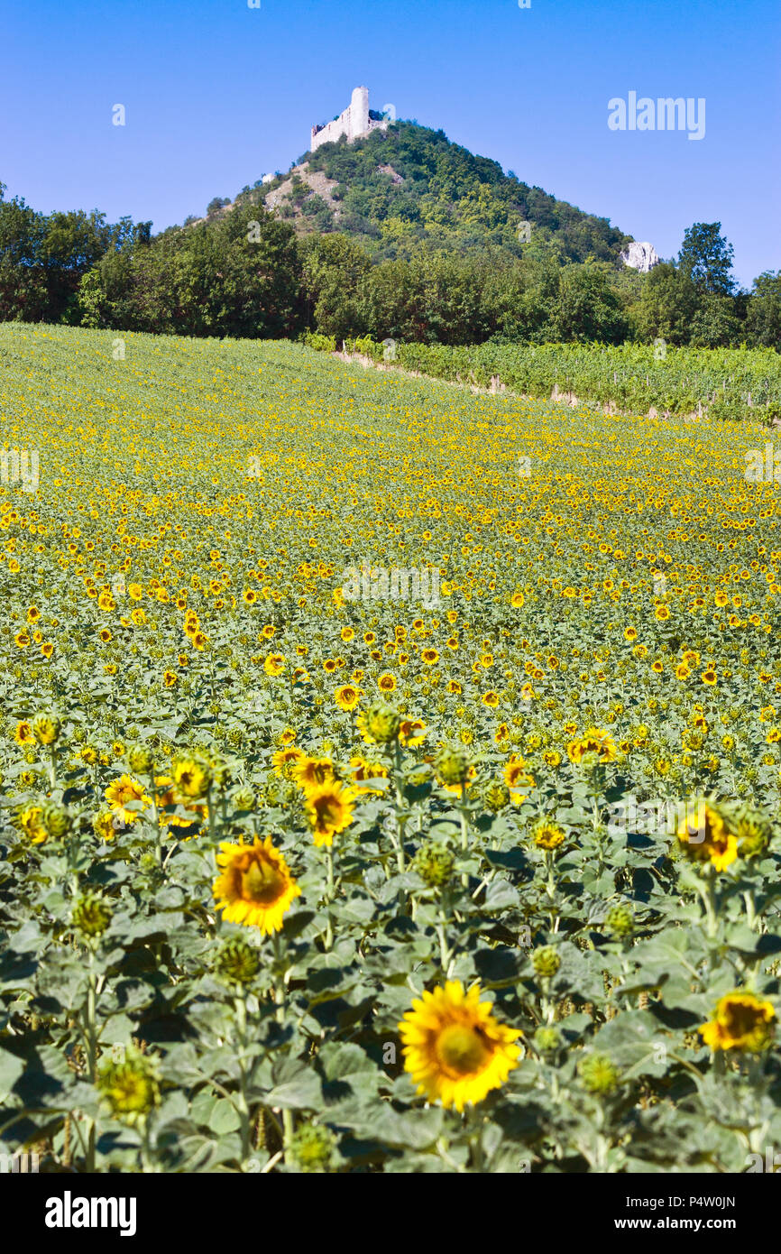 Hrad devicky immagini e fotografie stock ad alta risoluzione - Alamy