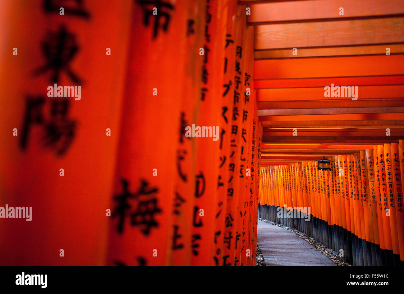 Arco del santuario di torii Immagini e Fotos Stock - Alamy