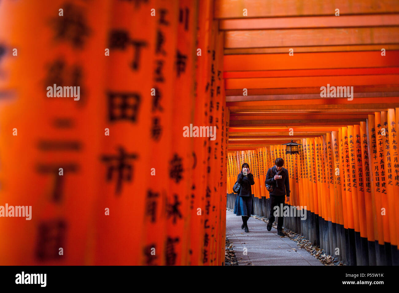 Arco del santuario di torii immagini e fotografie stock ad alta ...