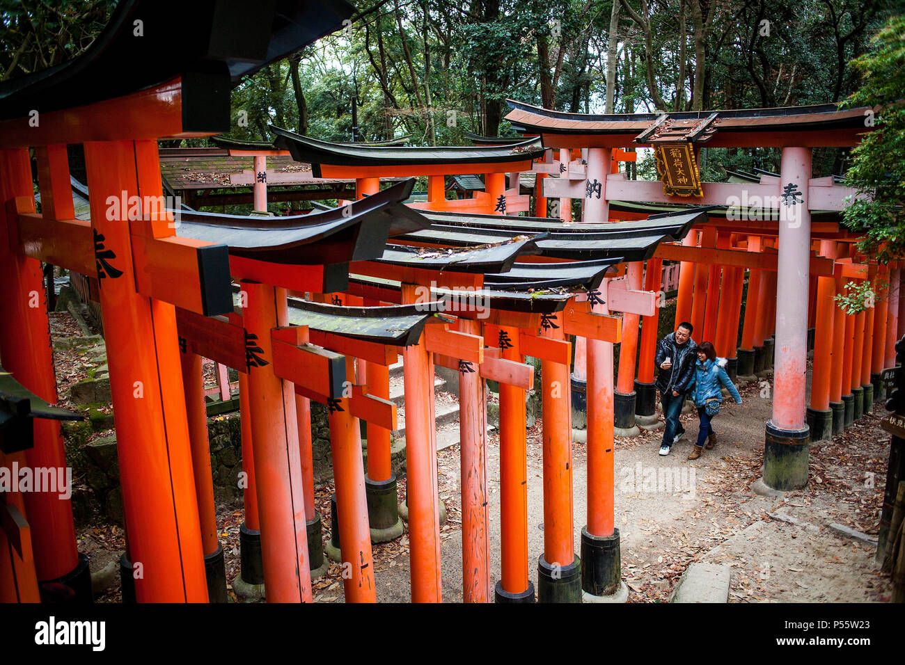 Nel giardino del tempio fushimi inari taisha immagini e fotografie ...