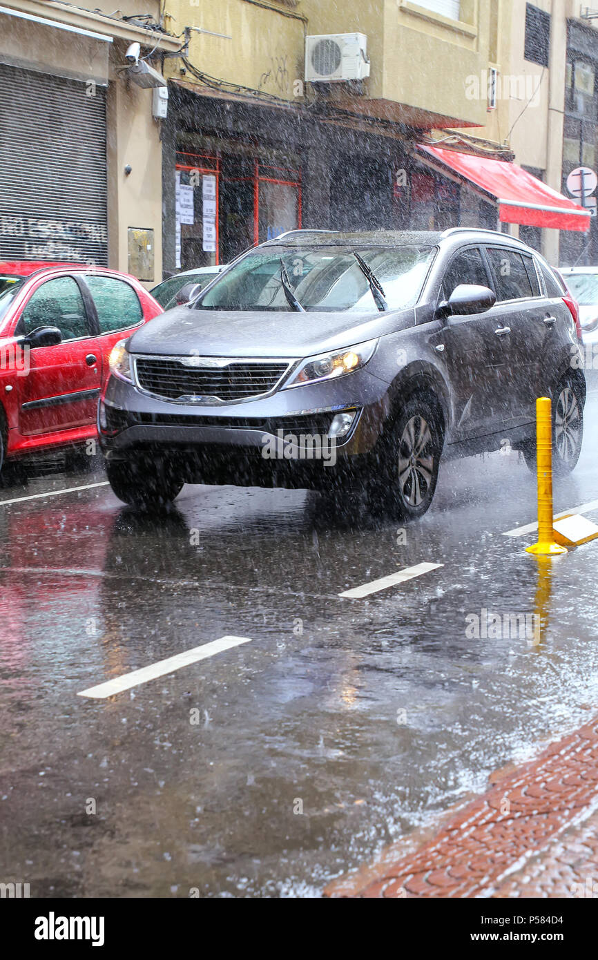 Clima subtropicale umido immagini e fotografie stock ad alta ...