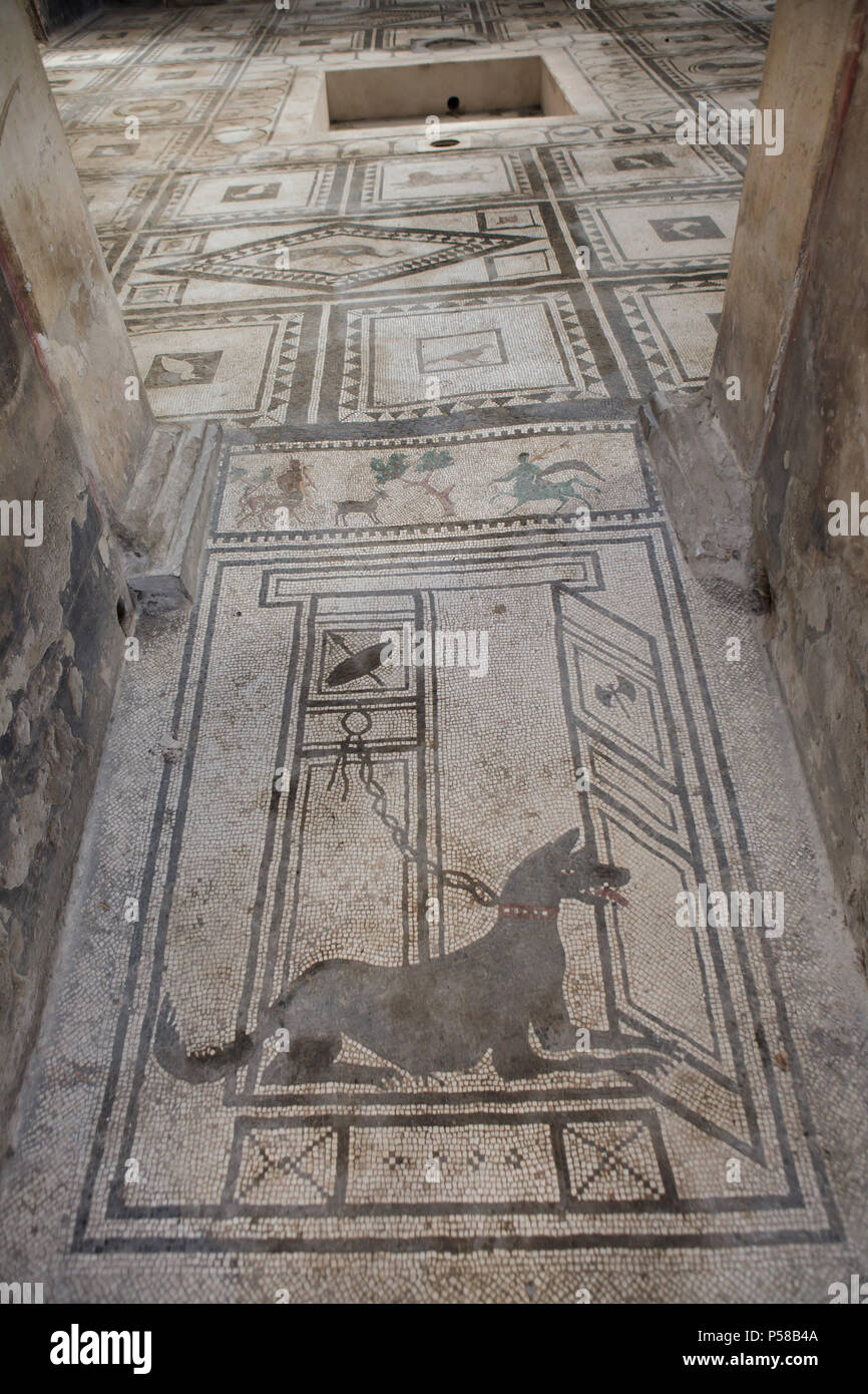 Italy pompeii cave canem immagini e fotografie stock ad alta ...