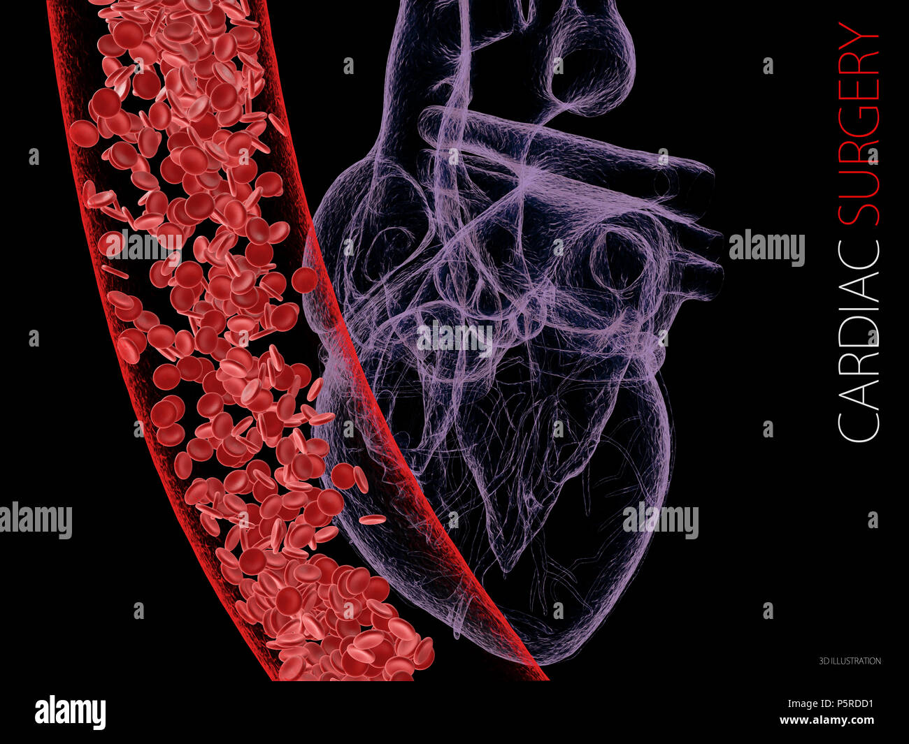 Cellule muscolari cardiache immagini e fotografie stock ad alta ...