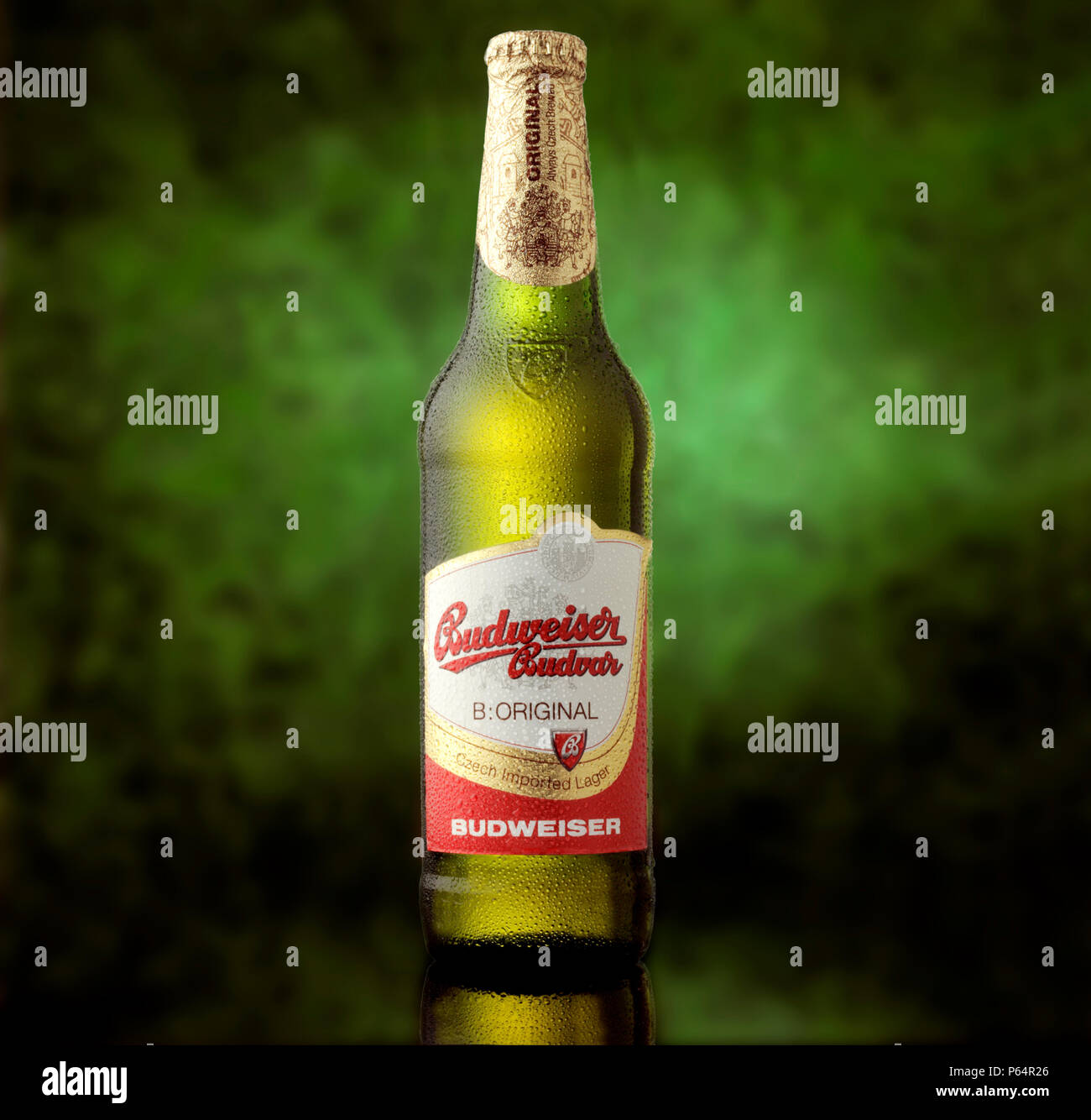 Birra budvar immagini e fotografie stock ad alta risoluzione - Alamy