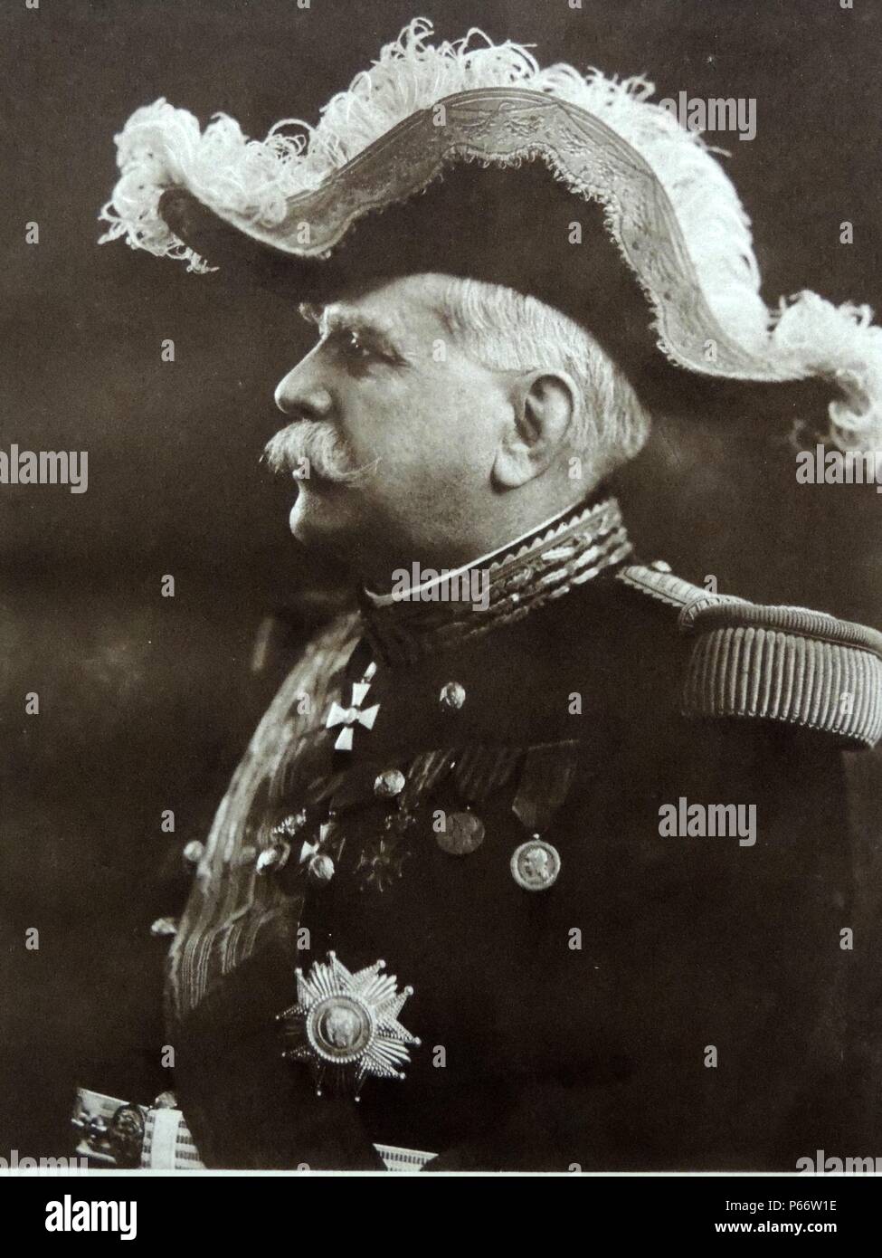 Papa joffre immagini e fotografie stock ad alta risoluzione - Alamy