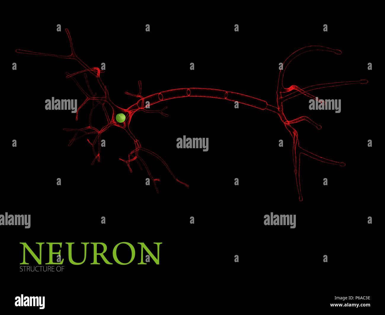 Struttura Neuronale Immagini e Fotos Stock - Alamy
