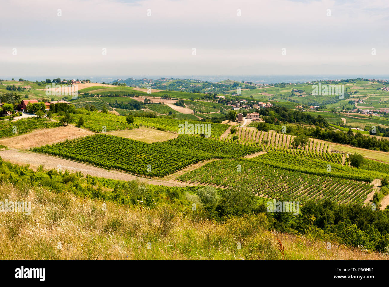 Colline coltivate nell' Oltrepo Pavese (Lombardia, Italia Foto stock ...