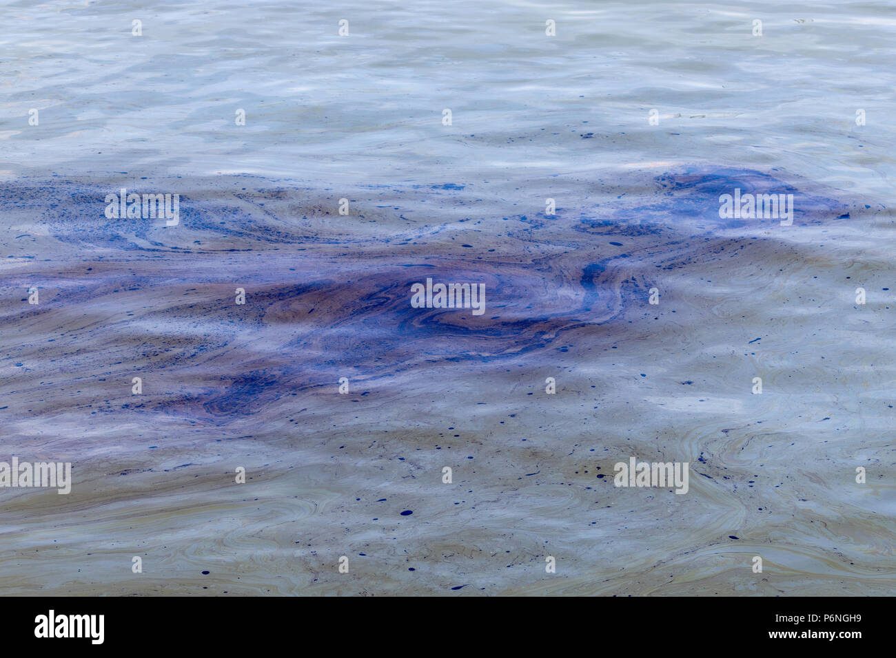 Inquinamento superficiale dell'acqua di mare immagini e fotografie ...