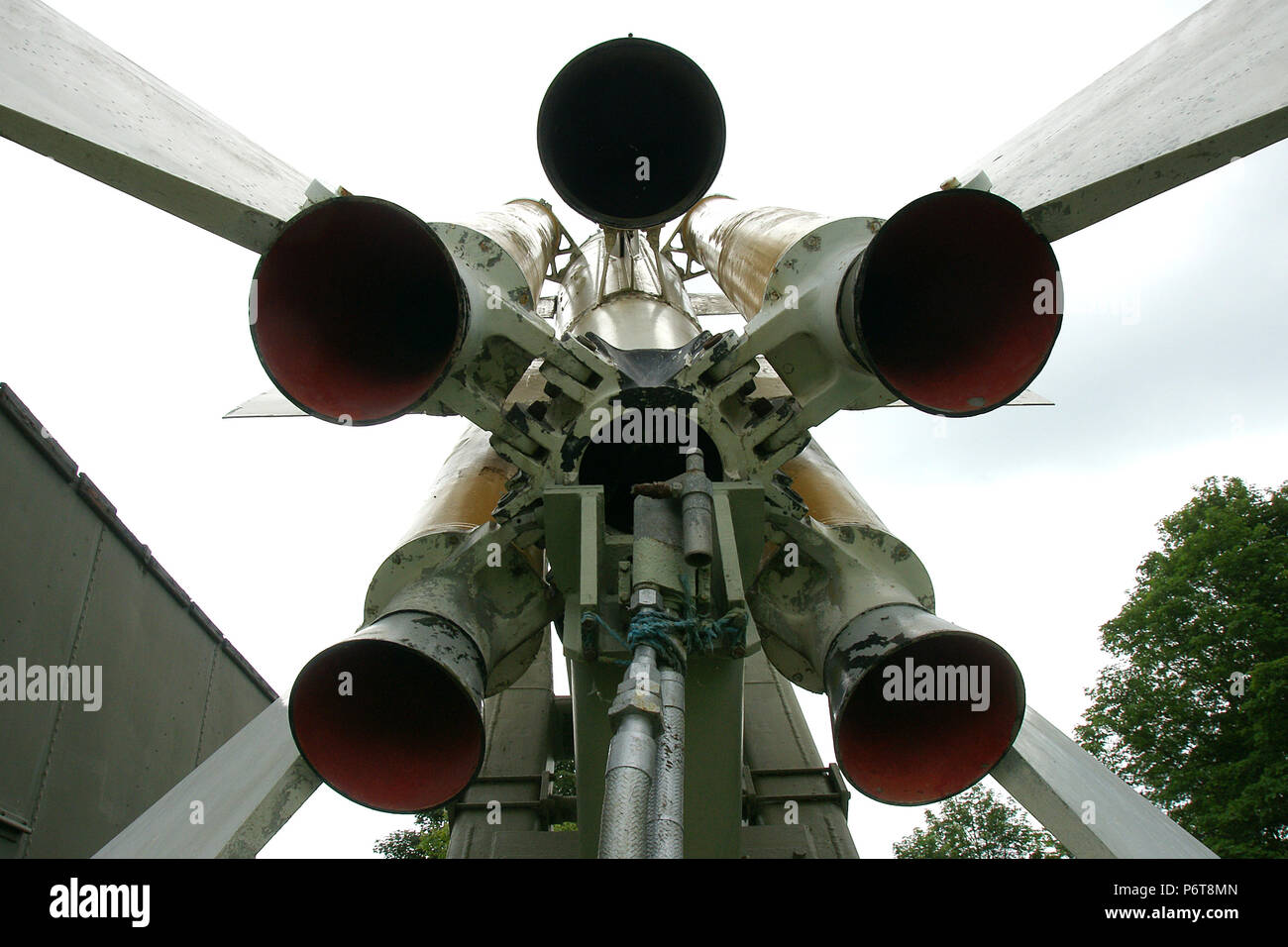 Bristol bloodhound immagini e fotografie stock ad alta risoluzione - Alamy