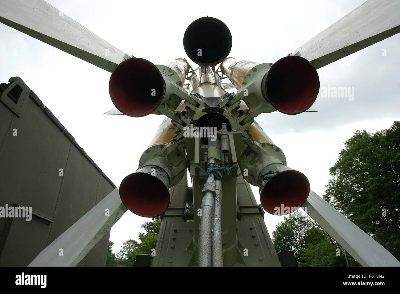 Bristol bloodhound immagini e fotografie stock ad alta risoluzione - Alamy