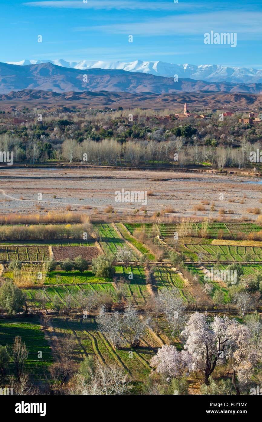 El kelaa mgouna immagini e fotografie stock ad alta risoluzione - Alamy
