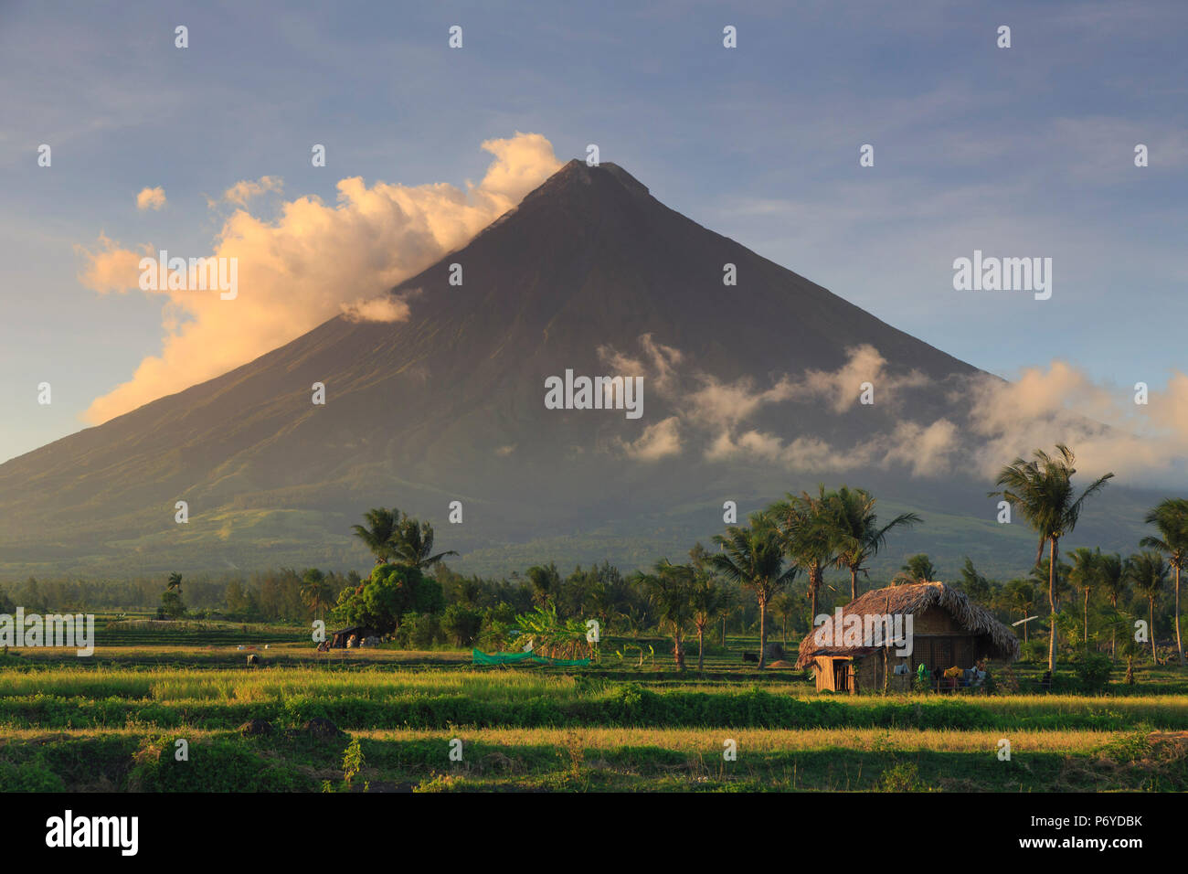 Vulcano mayon al tramonto immagini e fotografie stock ad alta ...