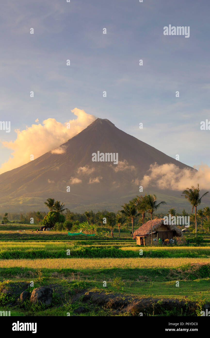 Vulcano mayon al tramonto immagini e fotografie stock ad alta ...