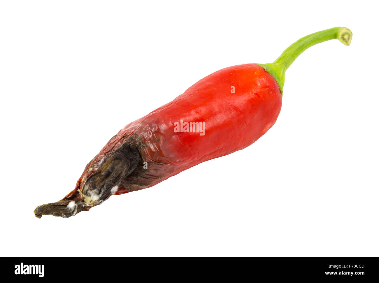 Ammuffito di peperoncino rosso / Marcio peperoncino rosso in sfondo ...