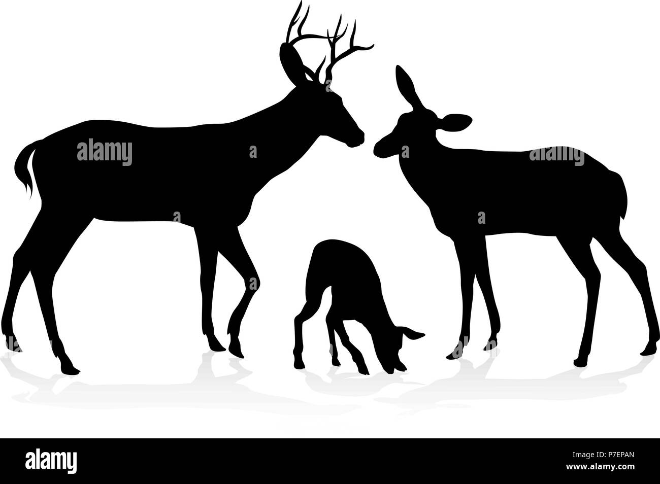 Cervi da combattimento Immagini Vettoriali Stock - Alamy