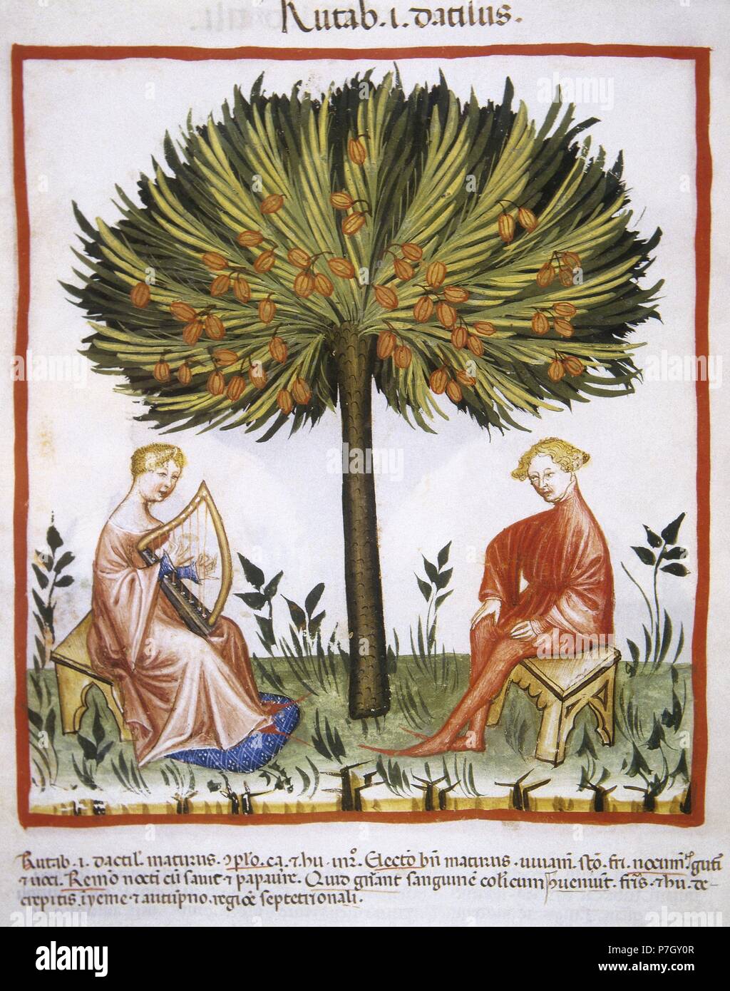Tacuinum sanitatis 14th century man immagini e fotografie stock ad alta ...