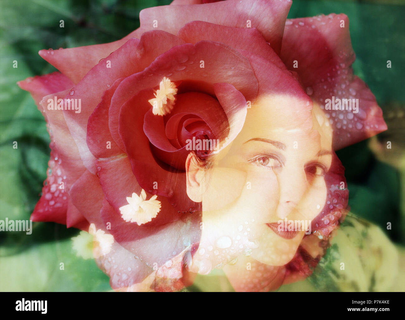 Volto donna immagini e fotografie stock ad alta risoluzione - Alamy