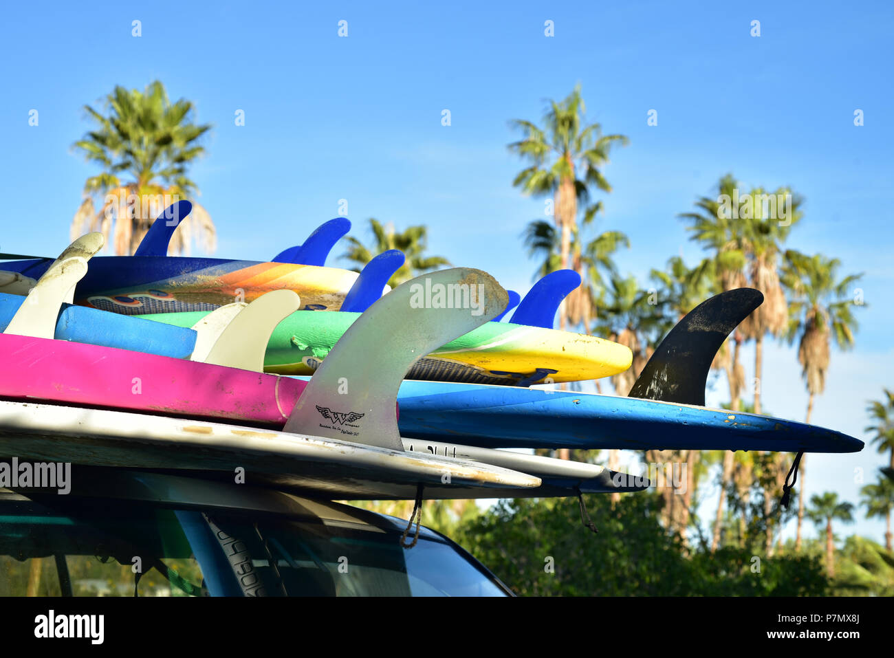 Auto con tavole da surf sul tetto immagini e fotografie stock ad alta ...