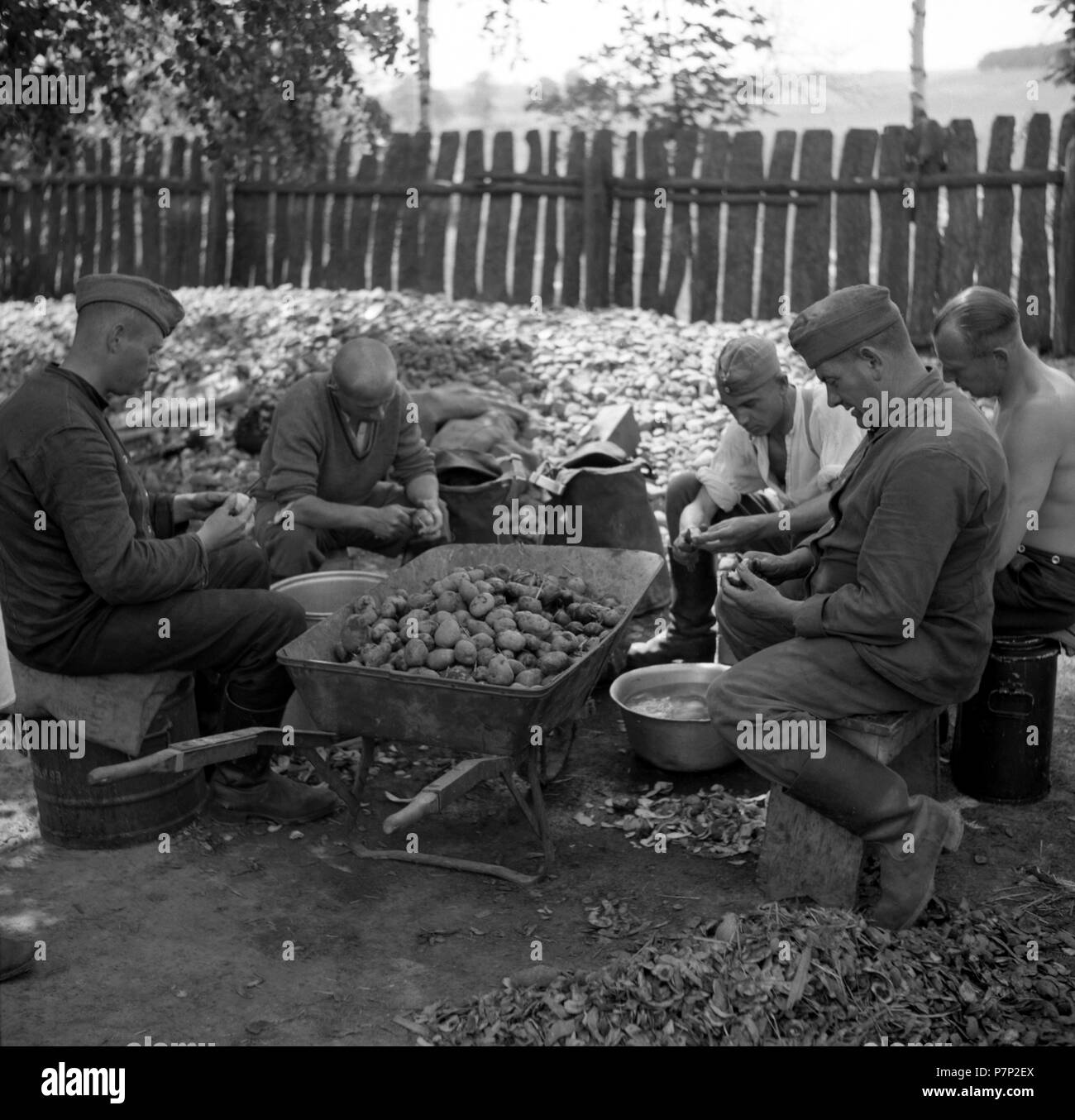 Operation barbarossa 1941 immagini e fotografie stock ad alta ...