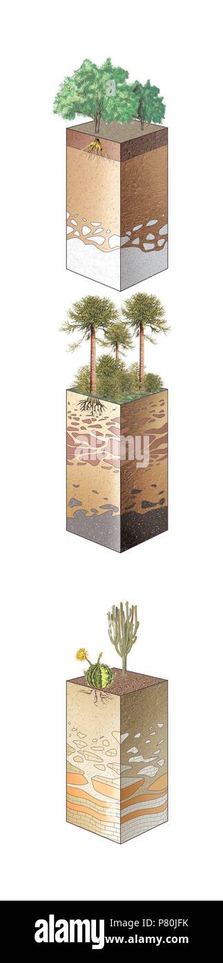 Types of soil immagini e fotografie stock ad alta risoluzione - Alamy