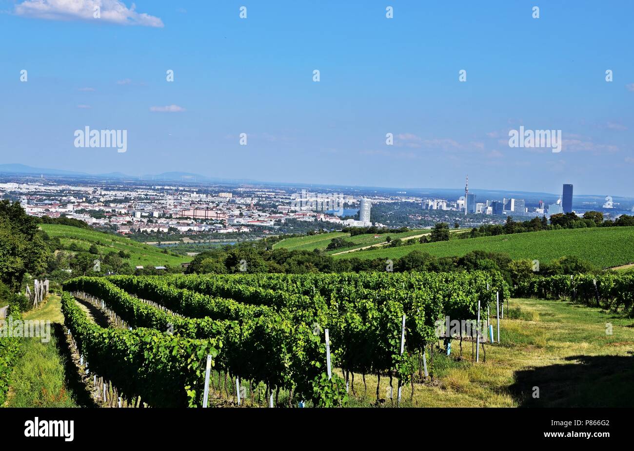 Vigneti di kahlenberg immagini e fotografie stock ad alta risoluzione ...