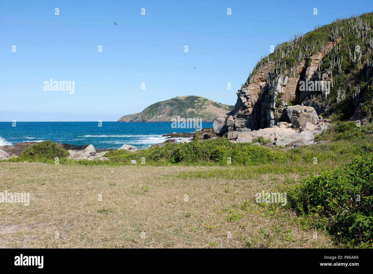 Costa del brasile immagini e fotografie stock ad alta risoluzione - Alamy