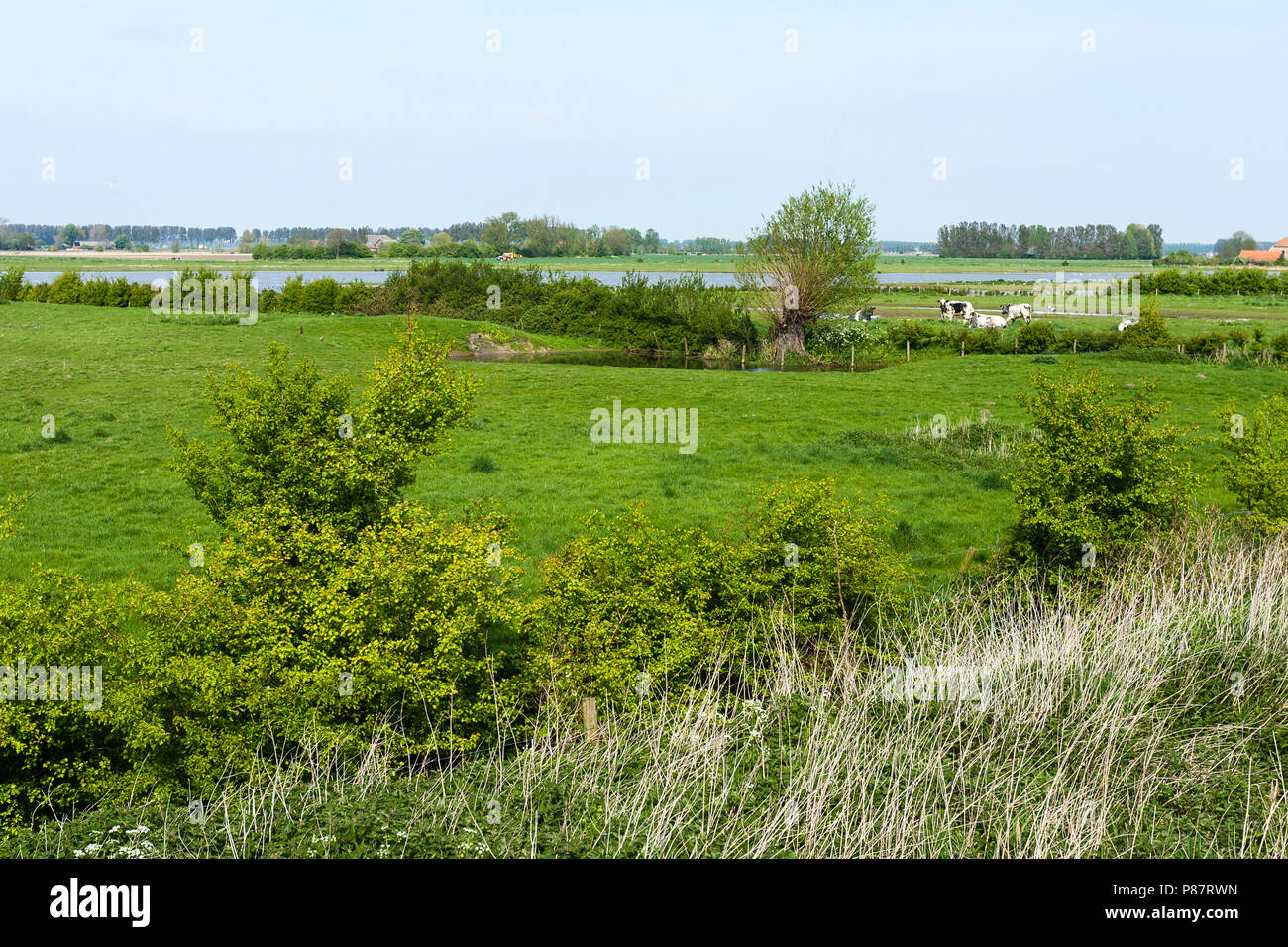 Annegato affogato immagini e fotografie stock ad alta risoluzione - Alamy