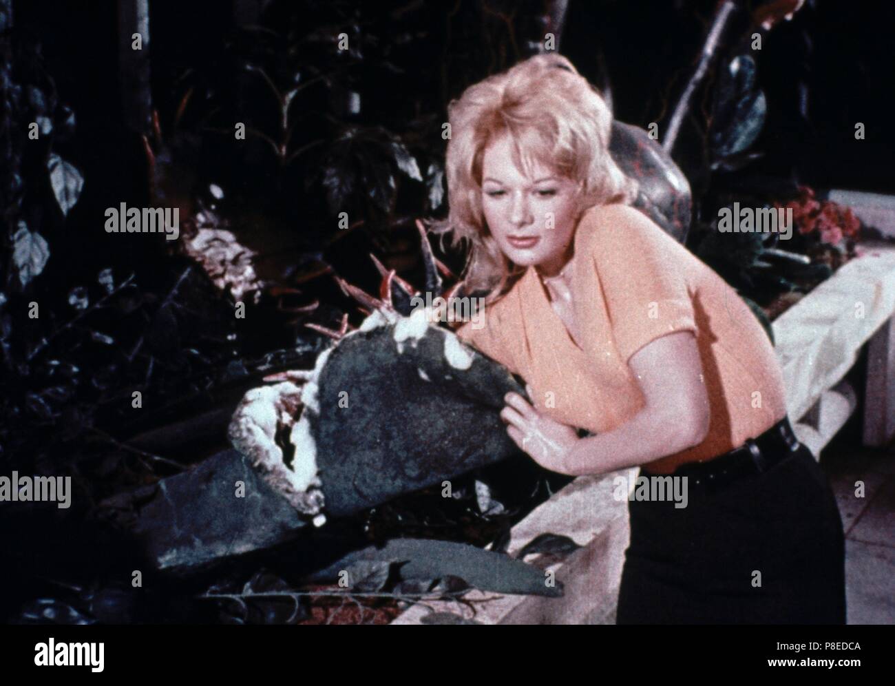 Claire gordon immagini e fotografie stock ad alta risoluzione - Alamy