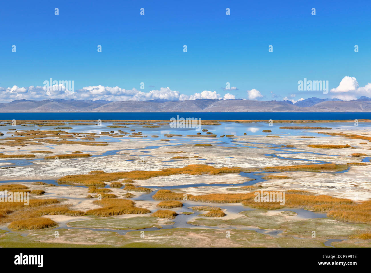 Lago junin immagini e fotografie stock ad alta risoluzione - Alamy