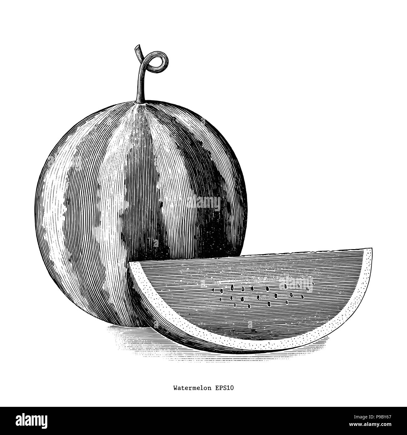 Disegno di anguria Immagini Vettoriali Stock - Alamy