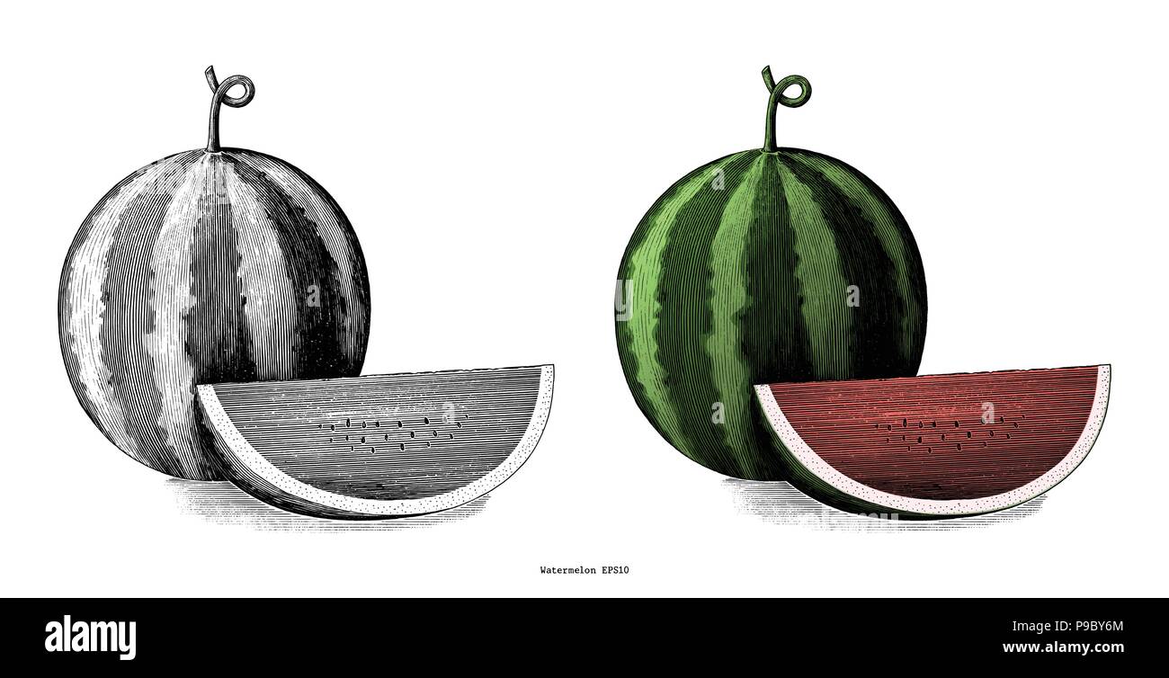 Disegno di anguria Immagini Vettoriali Stock - Alamy