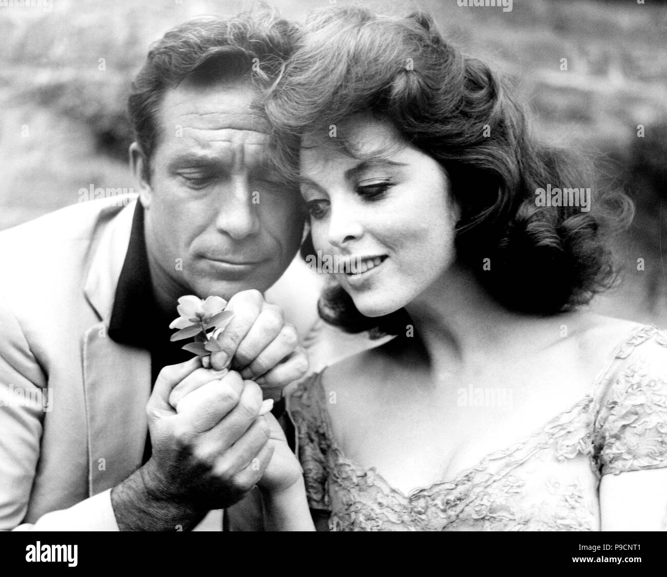 Tina louise immagini e fotografie stock ad alta risoluzione - Alamy