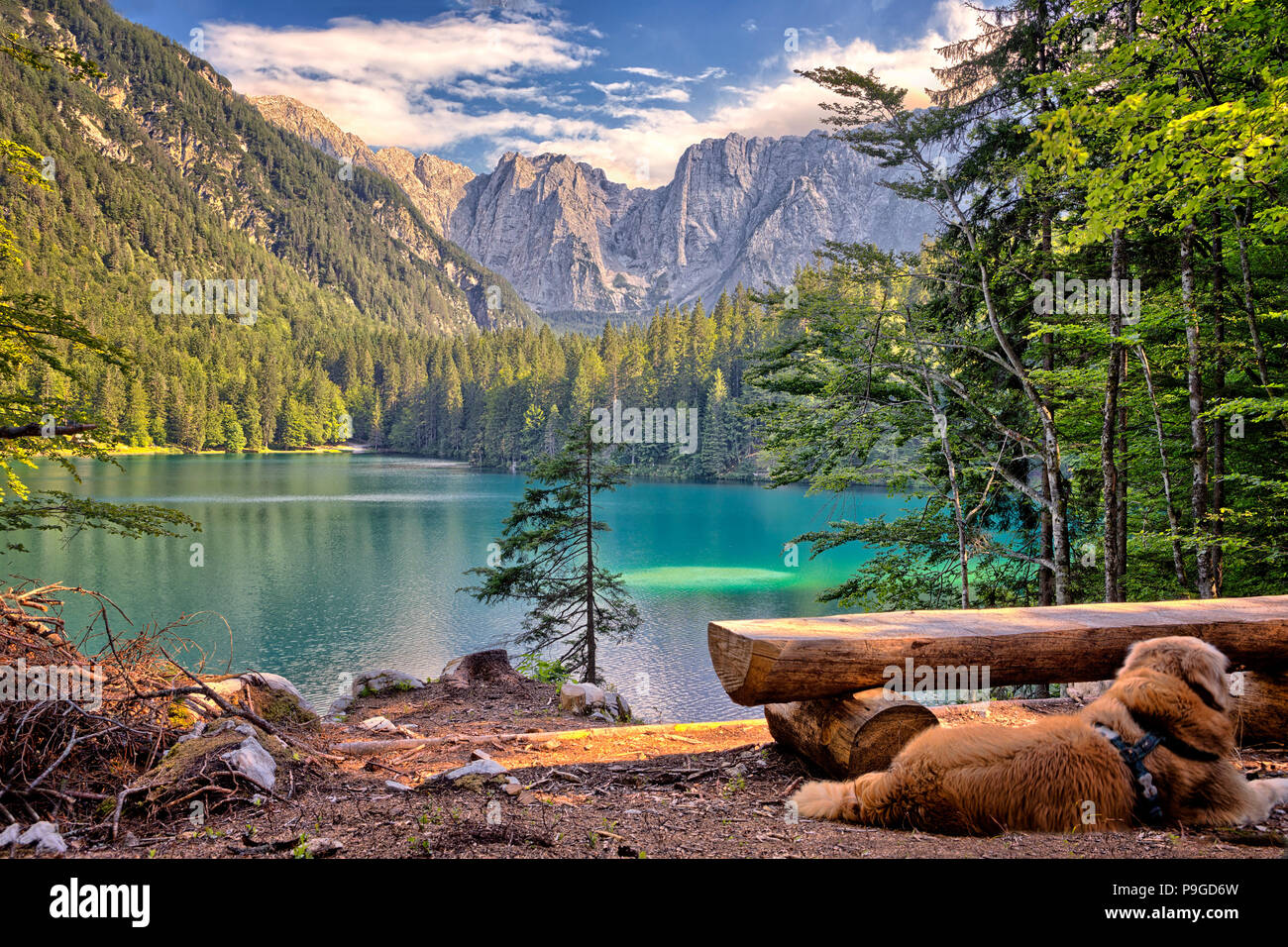 Laghi di fusine immagini e fotografie stock ad alta risoluzione - Alamy