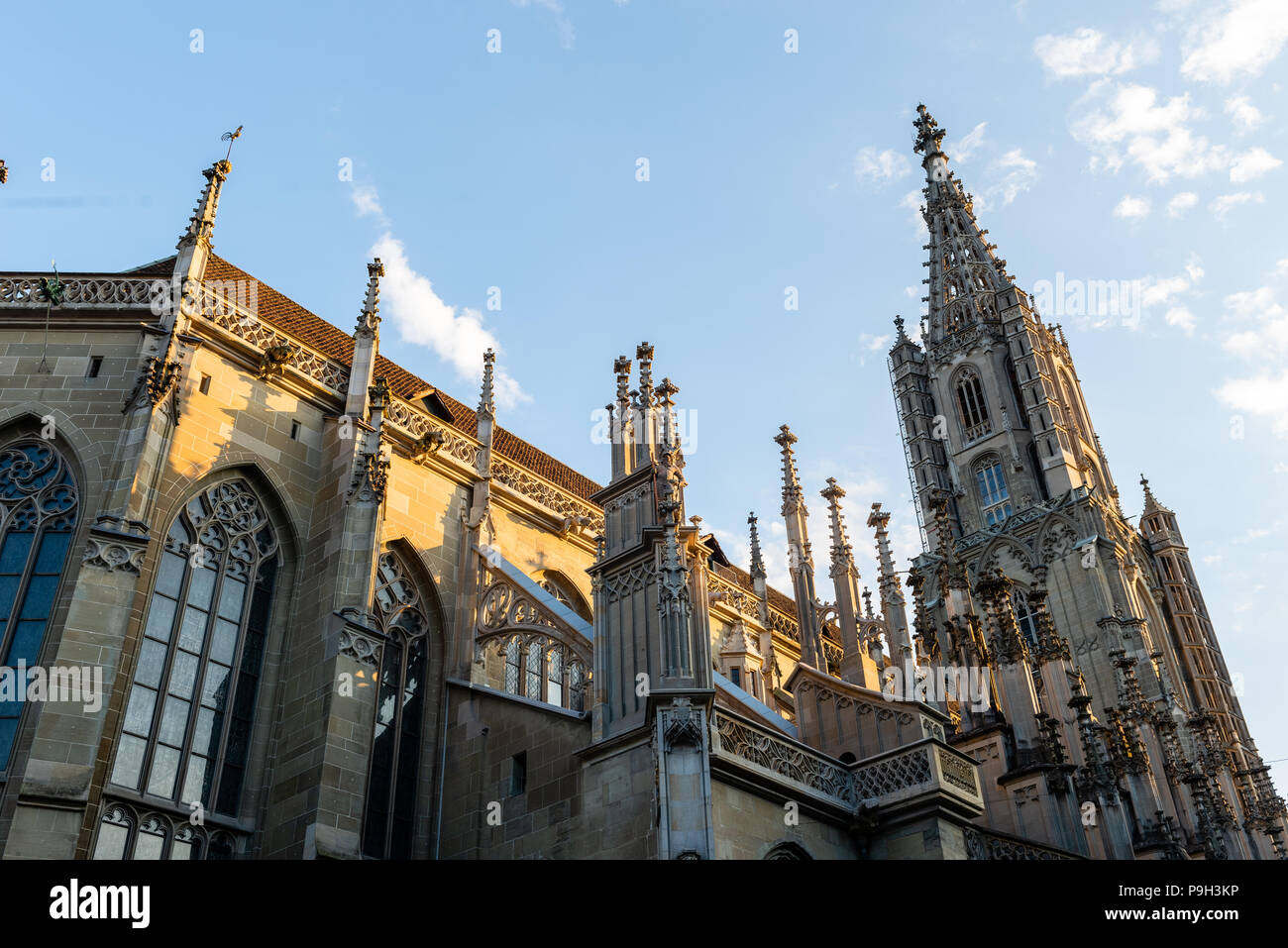 Il Berna Minster è un Swiss cattedrale riformata, nella città vecchia ...