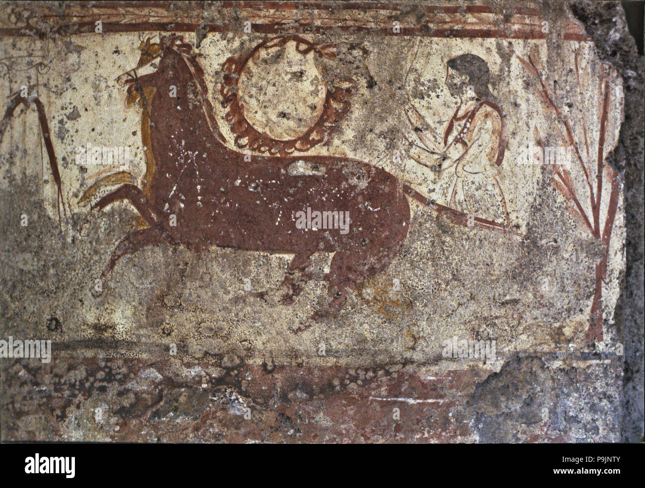 Tomba etrusca affresco immagini e fotografie stock ad alta risoluzione ...