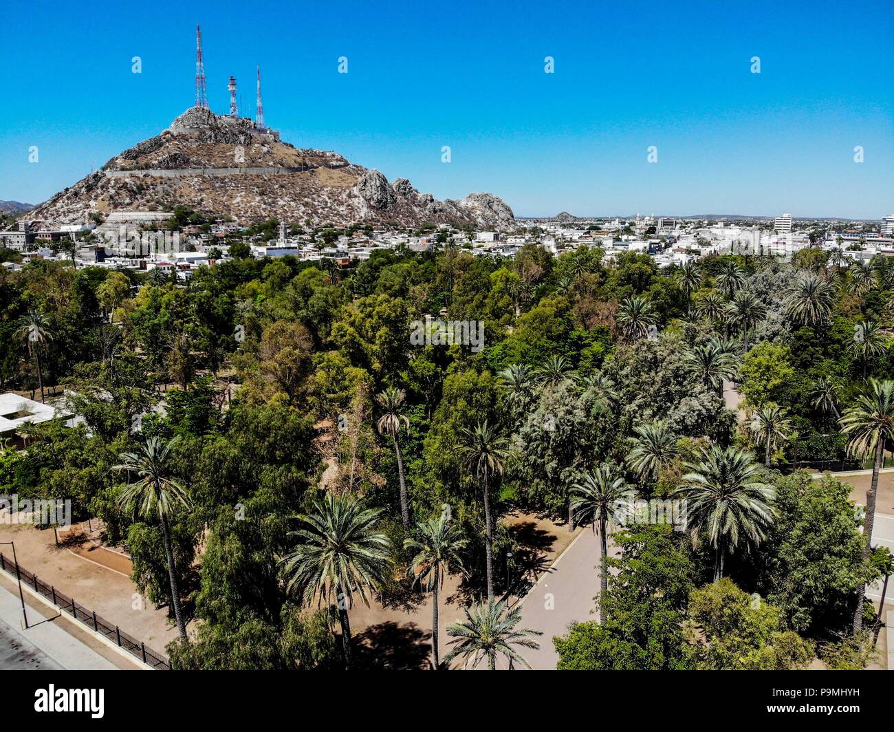 Vista aérea de los arboles y palmeras del parque Madero y el Cerro de ...