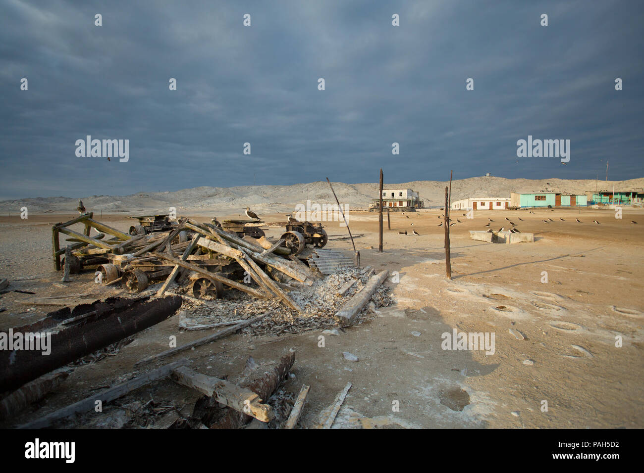 Spiaggia di lobos immagini e fotografie stock ad alta risoluzione - Alamy
