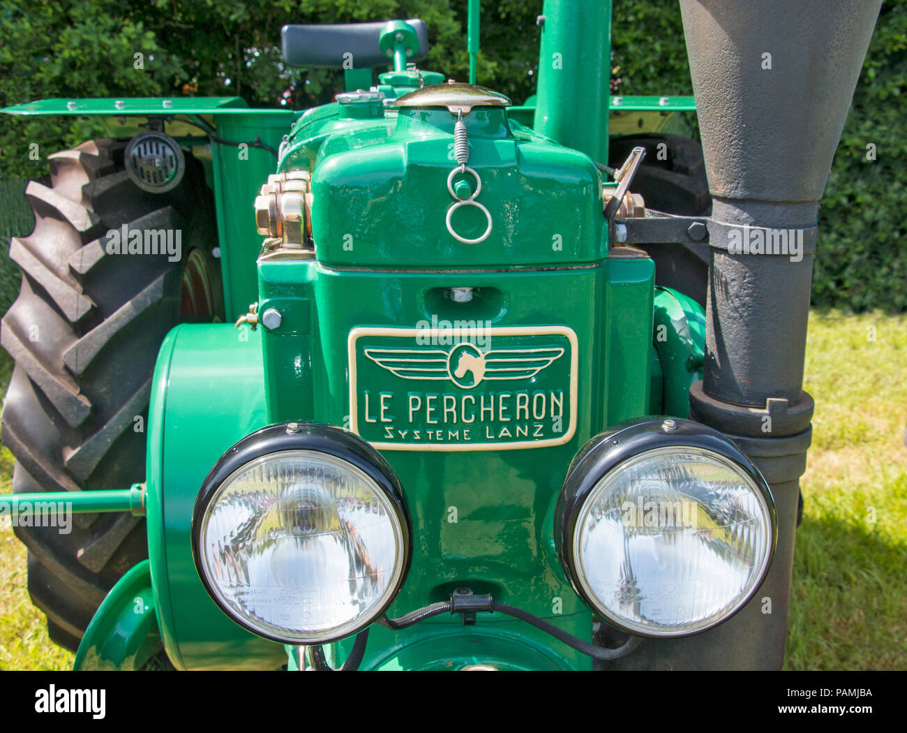 Trattore le percheron immagini e fotografie stock ad alta risoluzione ...