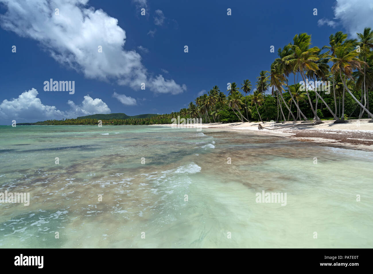 Spiaggia di samana immagini e fotografie stock ad alta risoluzione - Alamy