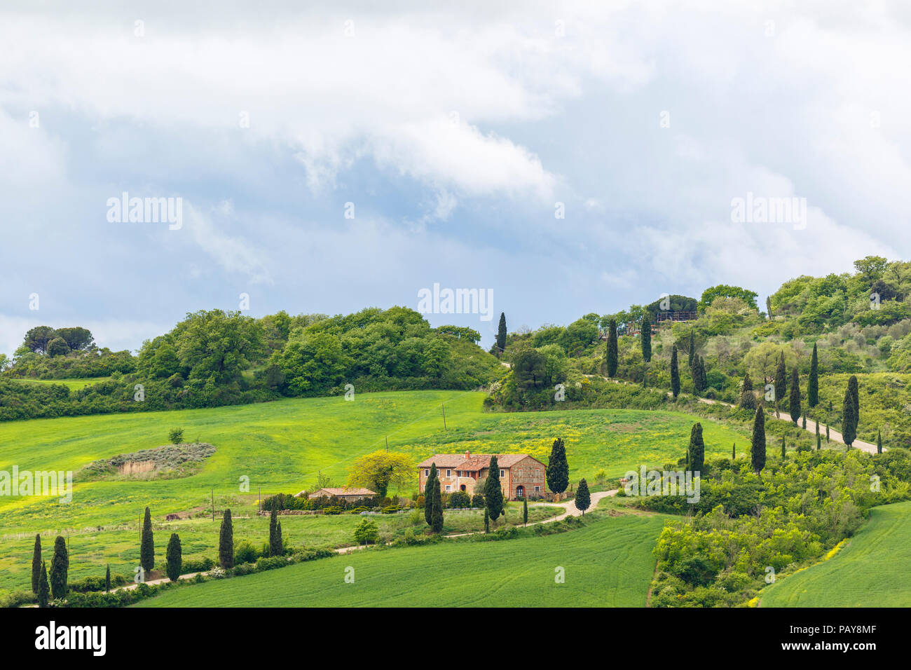 Strada con cipressi e una casa colonica immagini e fotografie stock ad ...