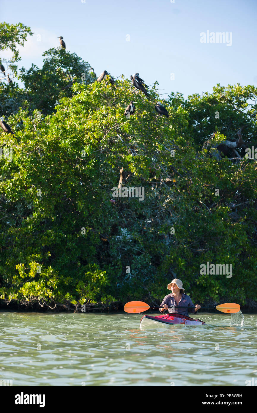 Biosfera Di Sian Kaan A Quintana Roo Messico Immagini e Fotos Stock - Alamy