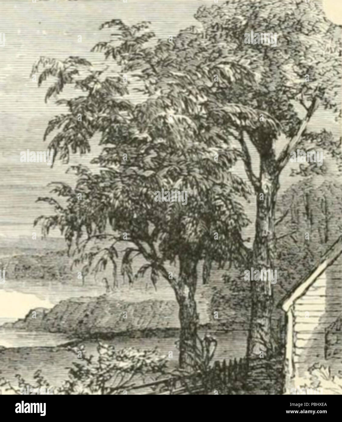 Disegno 1772 immagini e fotografie stock ad alta risoluzione - Alamy