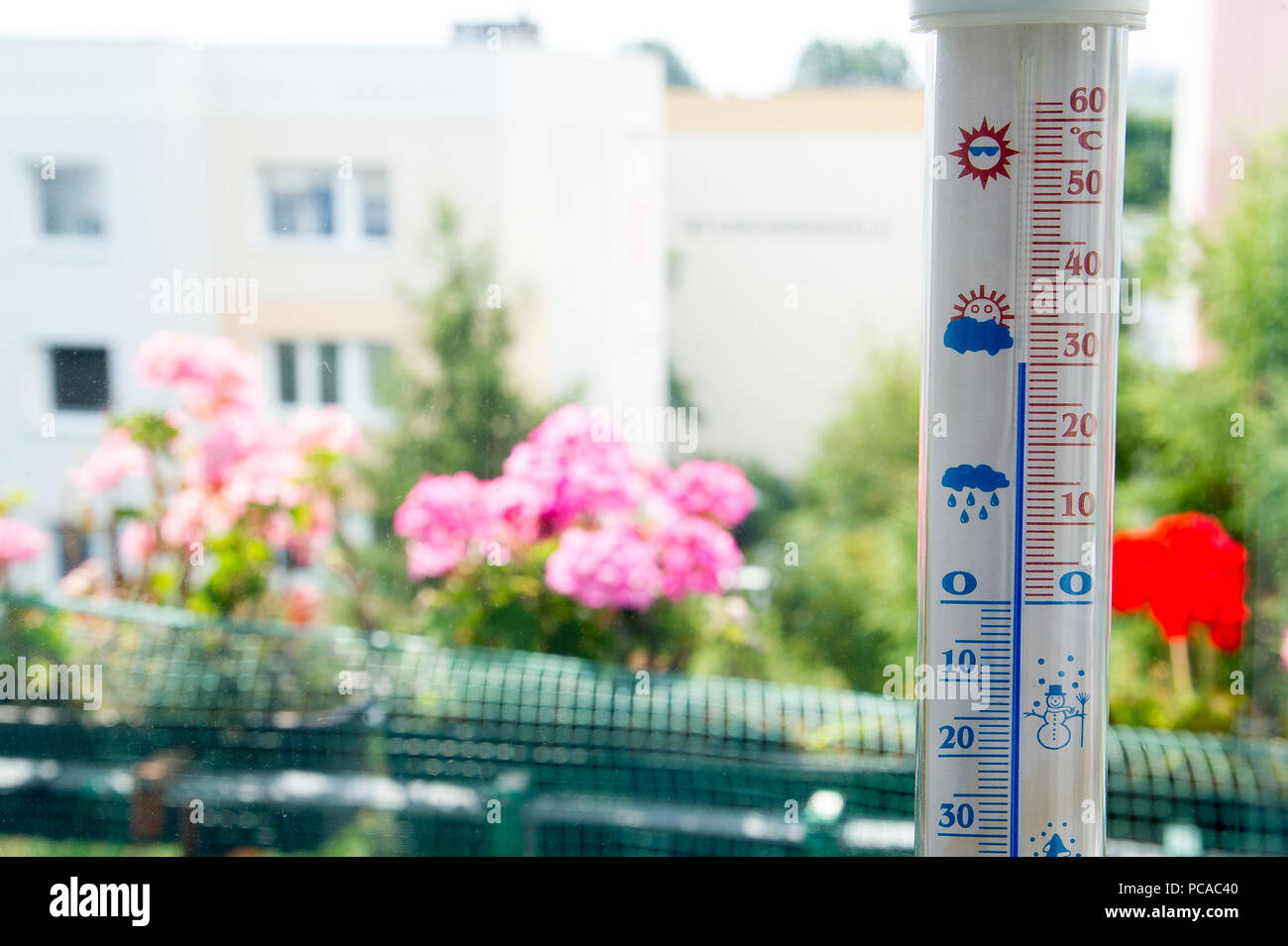 Escala de grados celsius immagini e fotografie stock ad alta ...