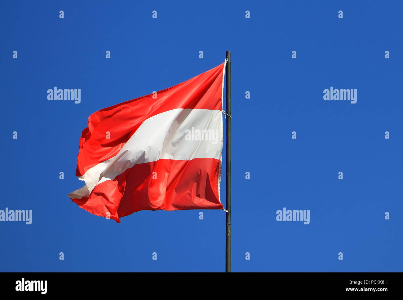 Bandiera dell'austria immagini e fotografie stock ad alta risoluzione ...