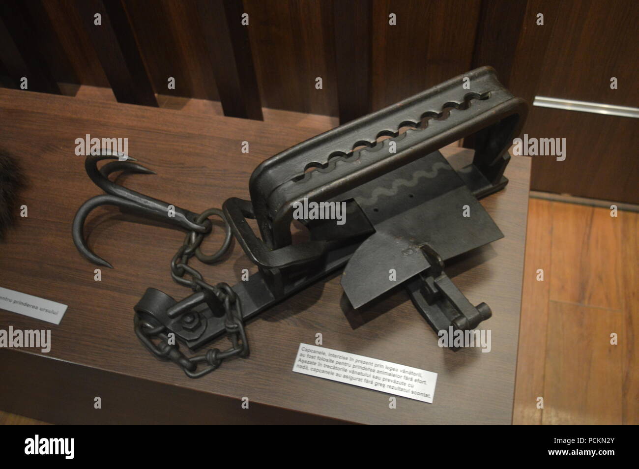 Colonnello august von spiess immagini e fotografie stock ad alta ...