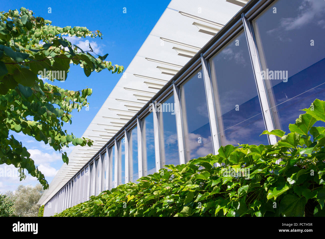 Parco e museo dell'arte fondation beyeler immagini e fotografie stock ...