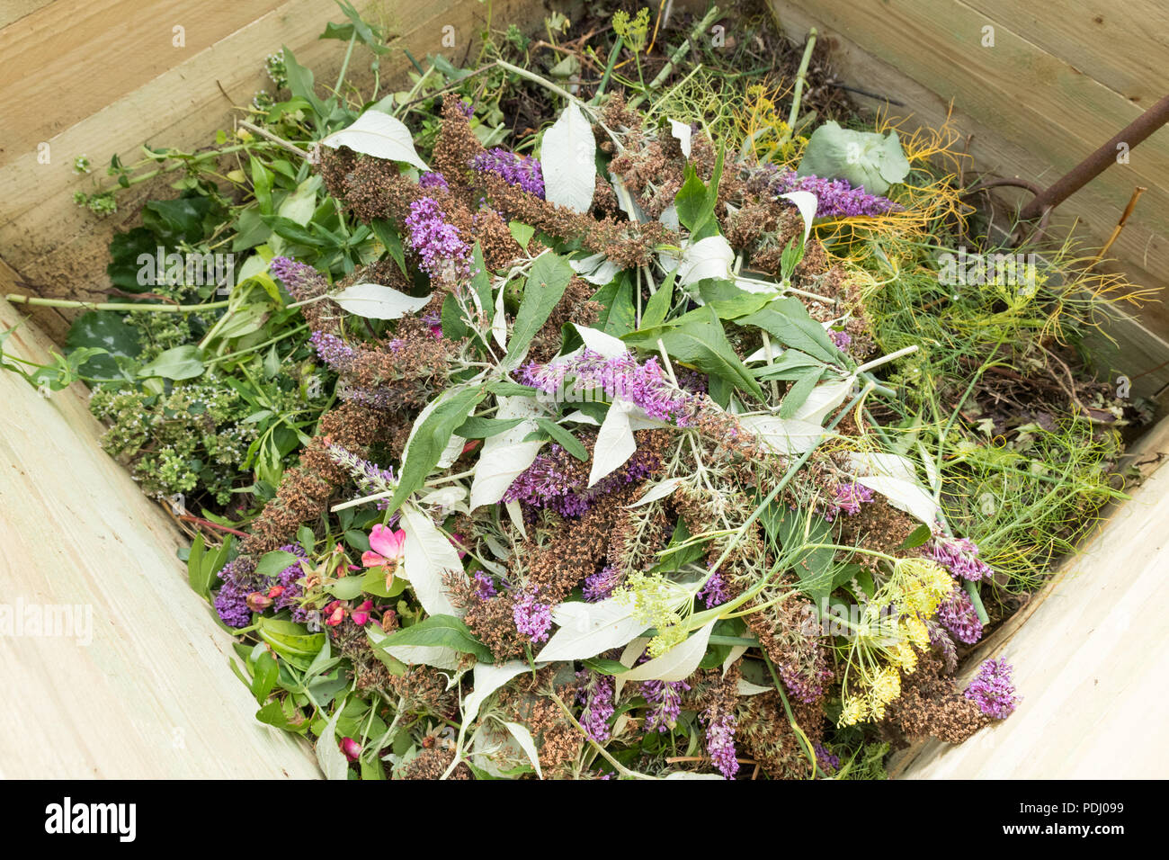 Wooden compost bin immagini e fotografie stock ad alta risoluzione - Alamy