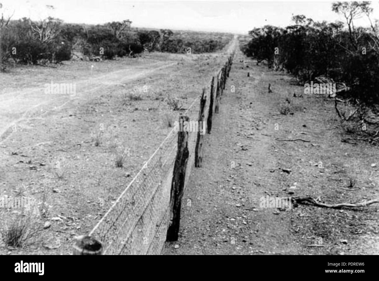 The rabbit proof fence immagini e fotografie stock ad alta risoluzione ...