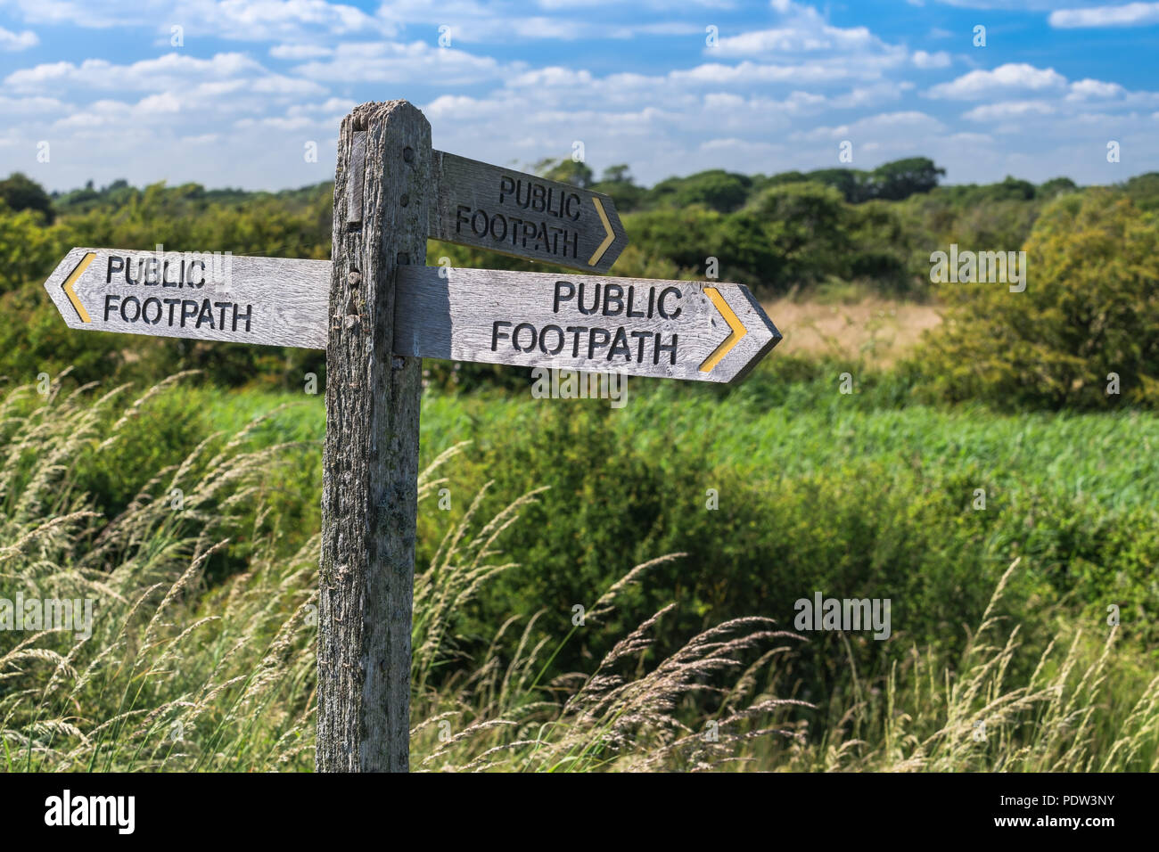 Destinazioni del south downs way immagini e fotografie stock ad alta ...