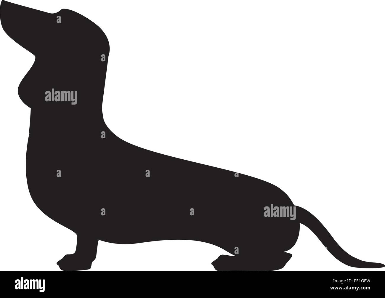 Cane bassotto disegno immagini e fotografie stock ad alta risoluzione ...